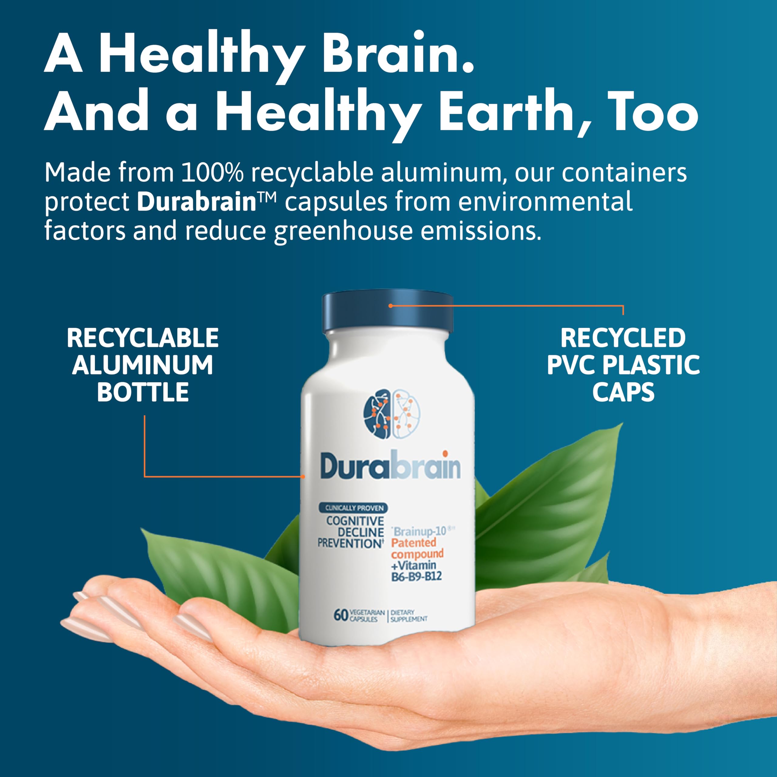 blended supplements for brain vitality