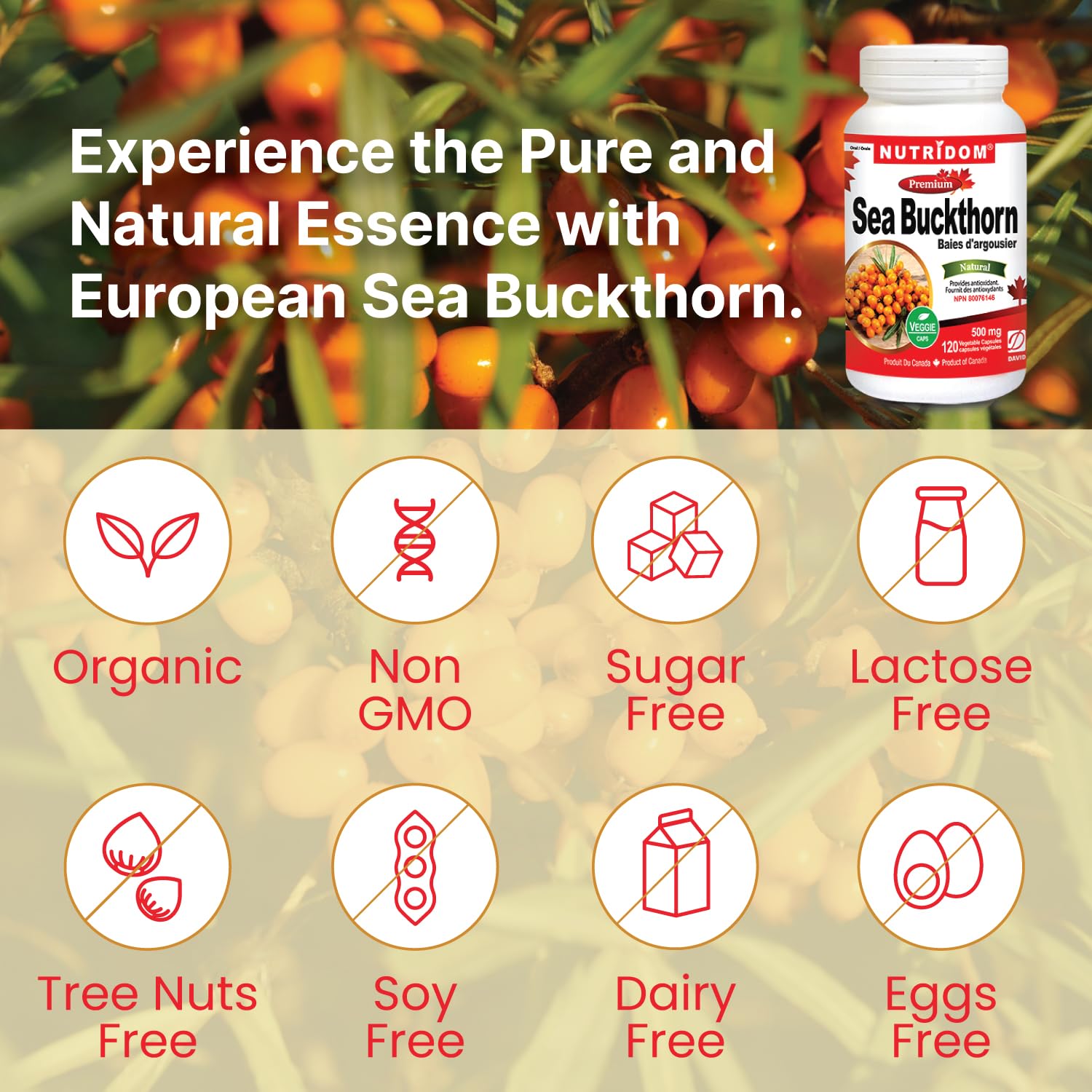 Blended supplements for daily wellness