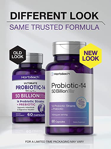 Blended supplements for digestive comfort