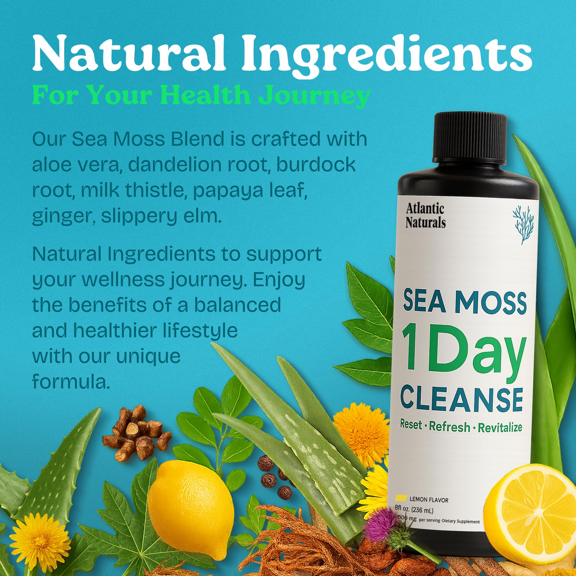 blended supplements for gut support