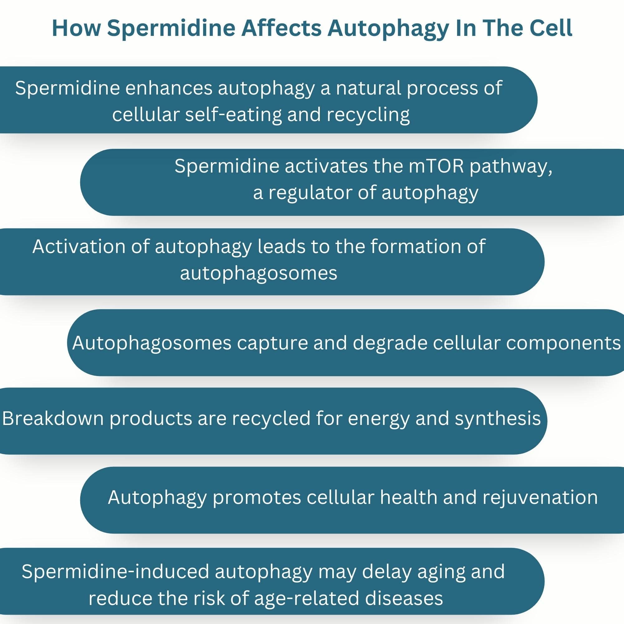 blended supplements for healthy aging