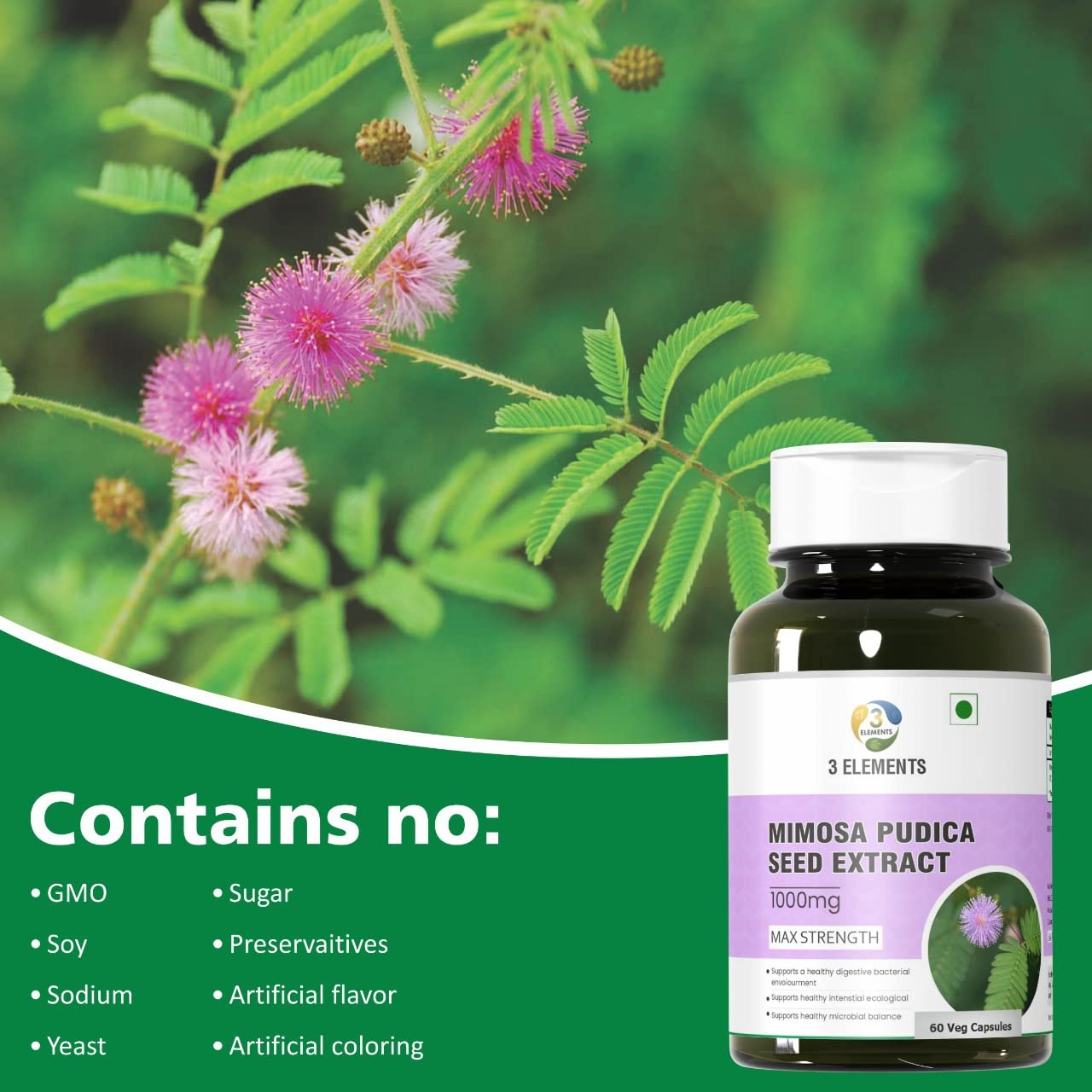 Blended supplements for holistic health