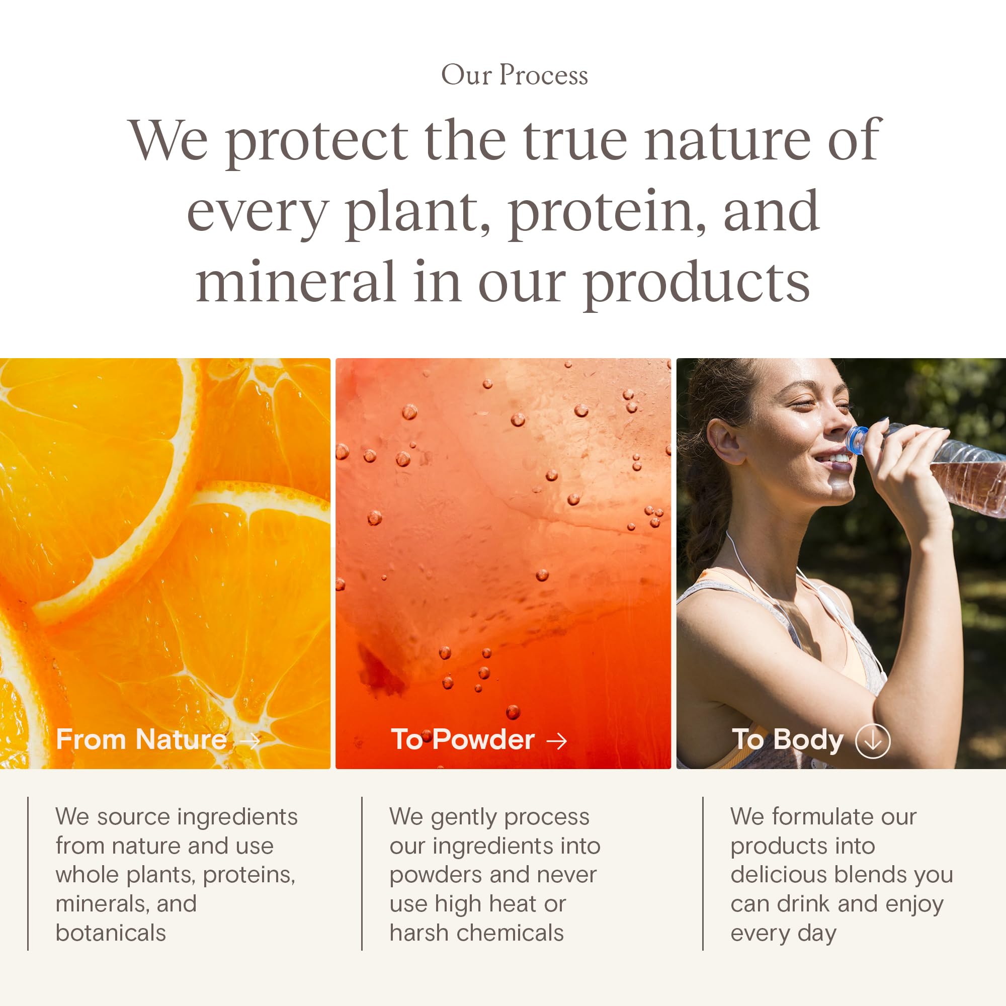 Blended supplements for immune health