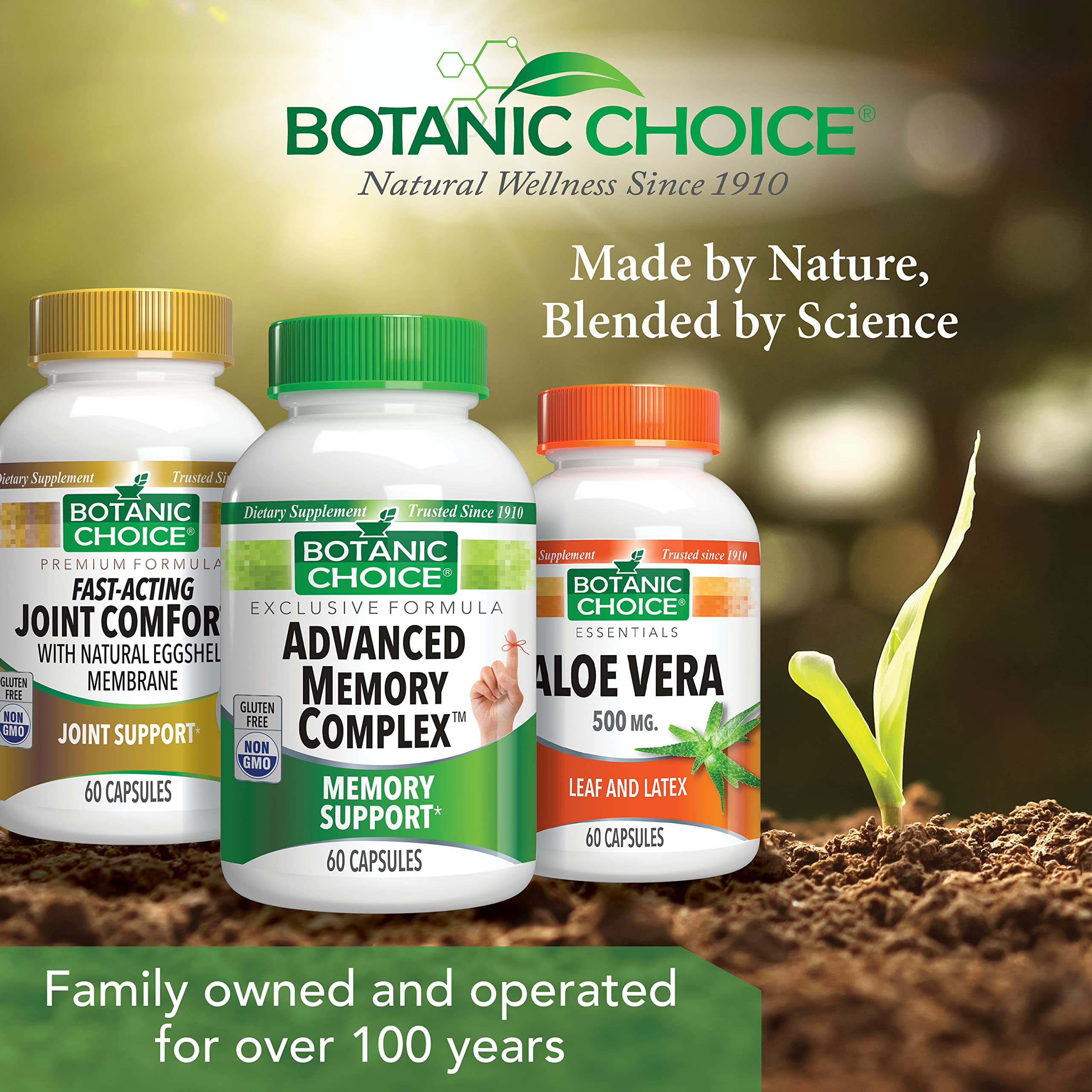 blended supplements for improved memory