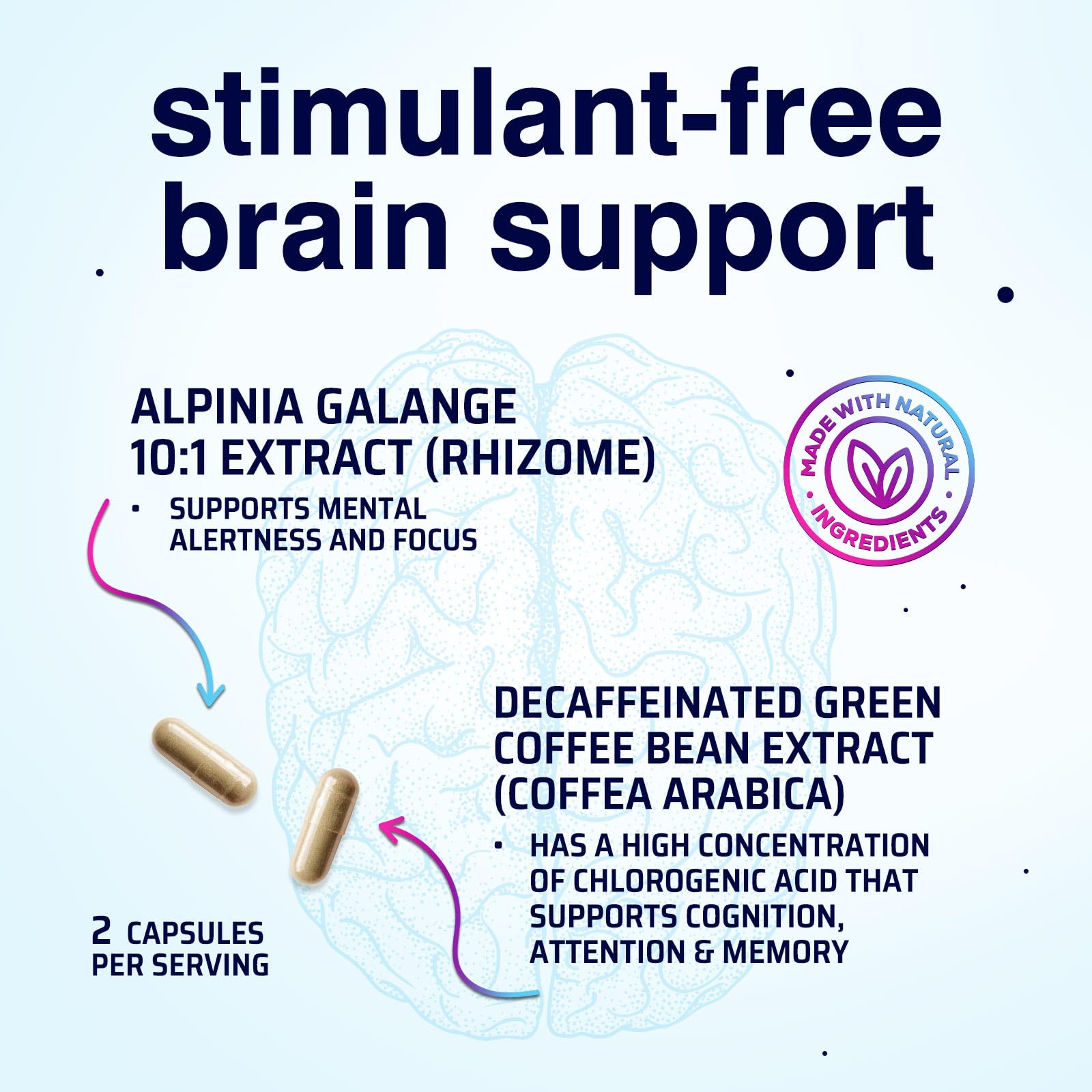 blended supplements for improved memory