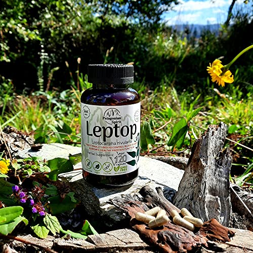 blended supplements for overall vitality