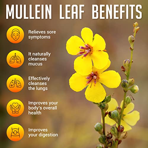blended vitamin and mineral drops