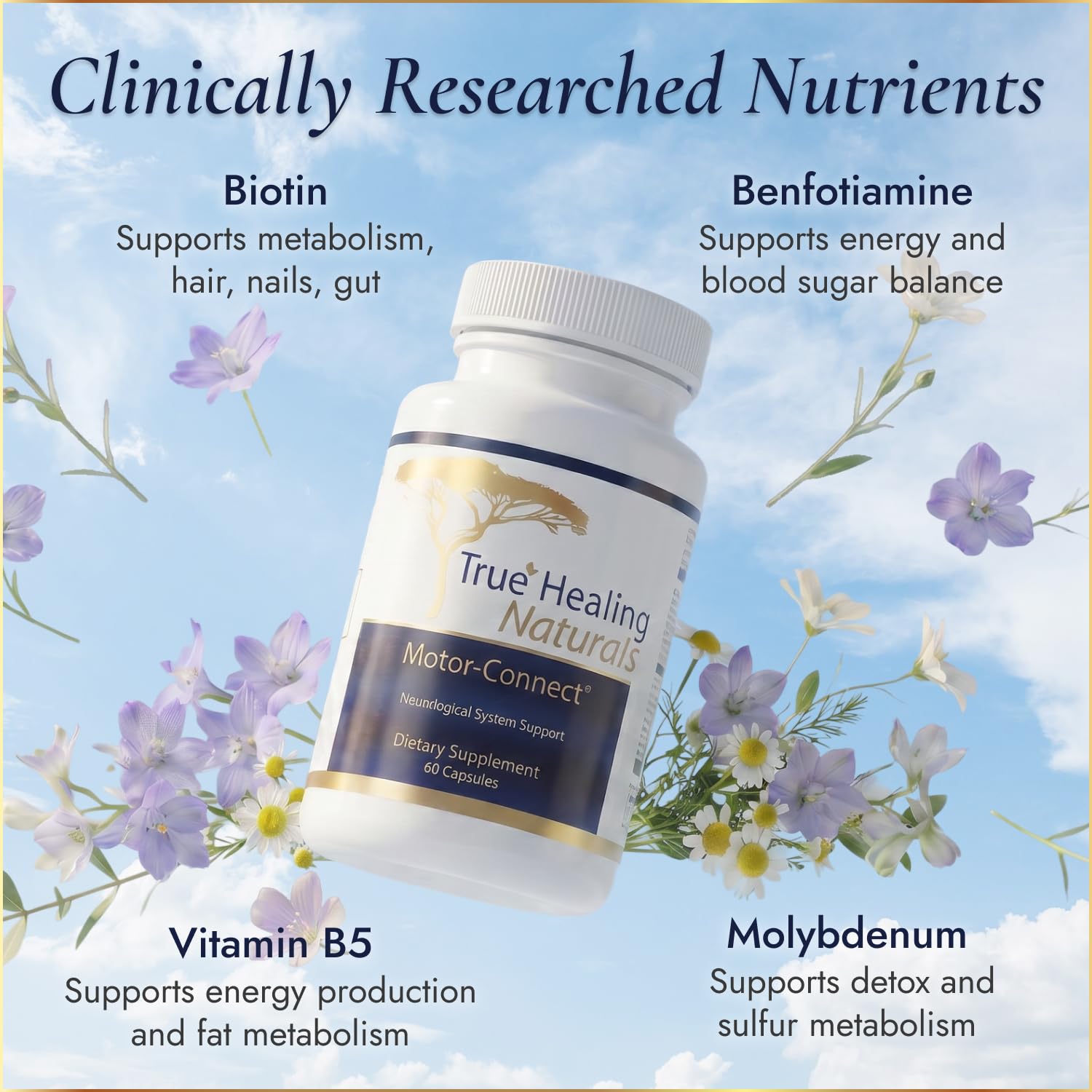 blended vitamin and mineral formula