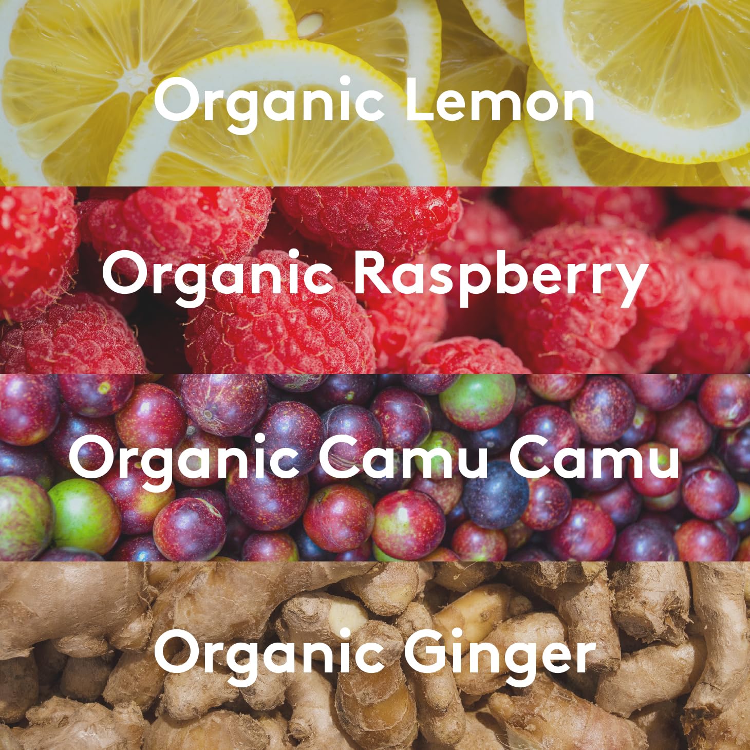 blended vitamin and mineral supplements for daily health
