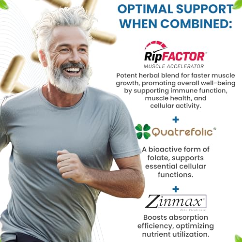 Blended vitamin and mineral support for workouts