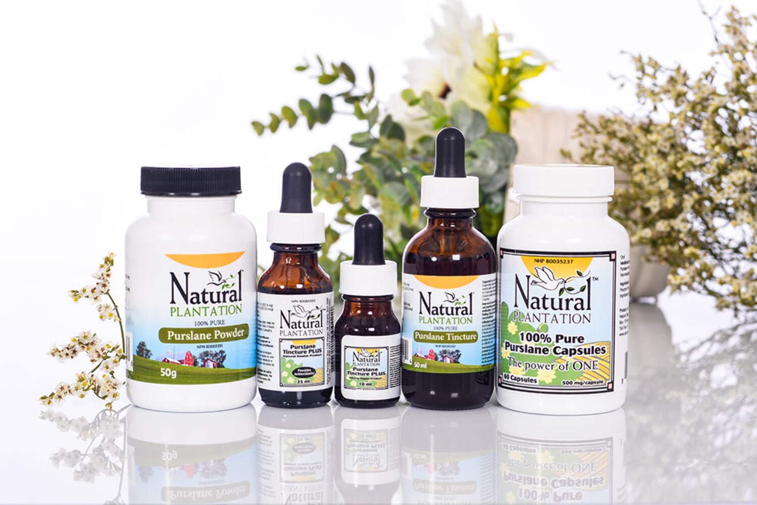 Blended vitamin and mineral support