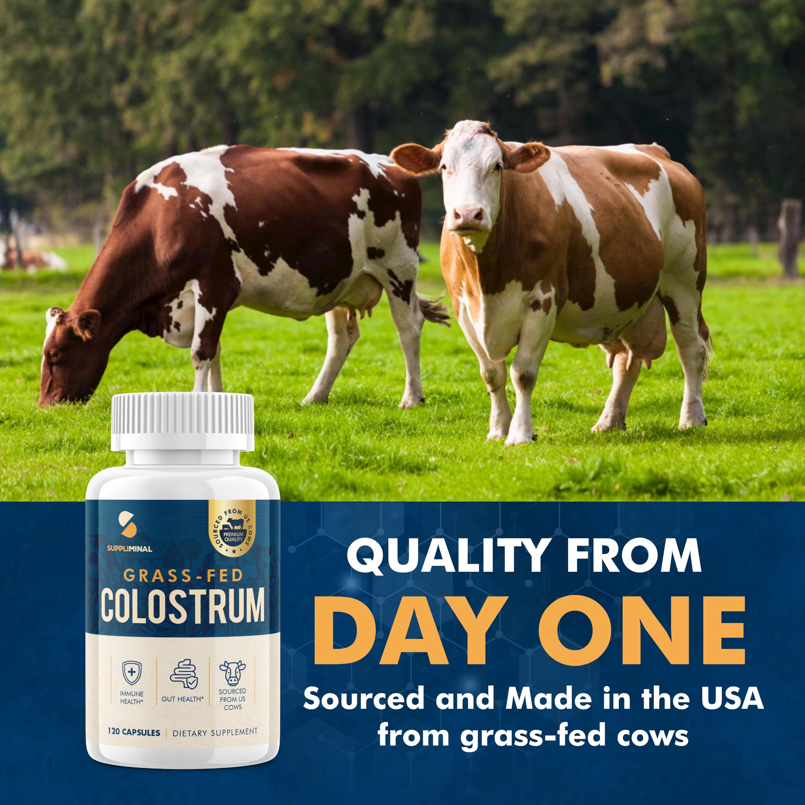 blended vitamin and mineral support