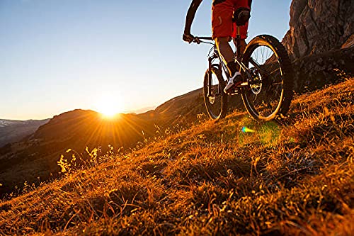 blended vitamin & mineral supplements for active lifestyles