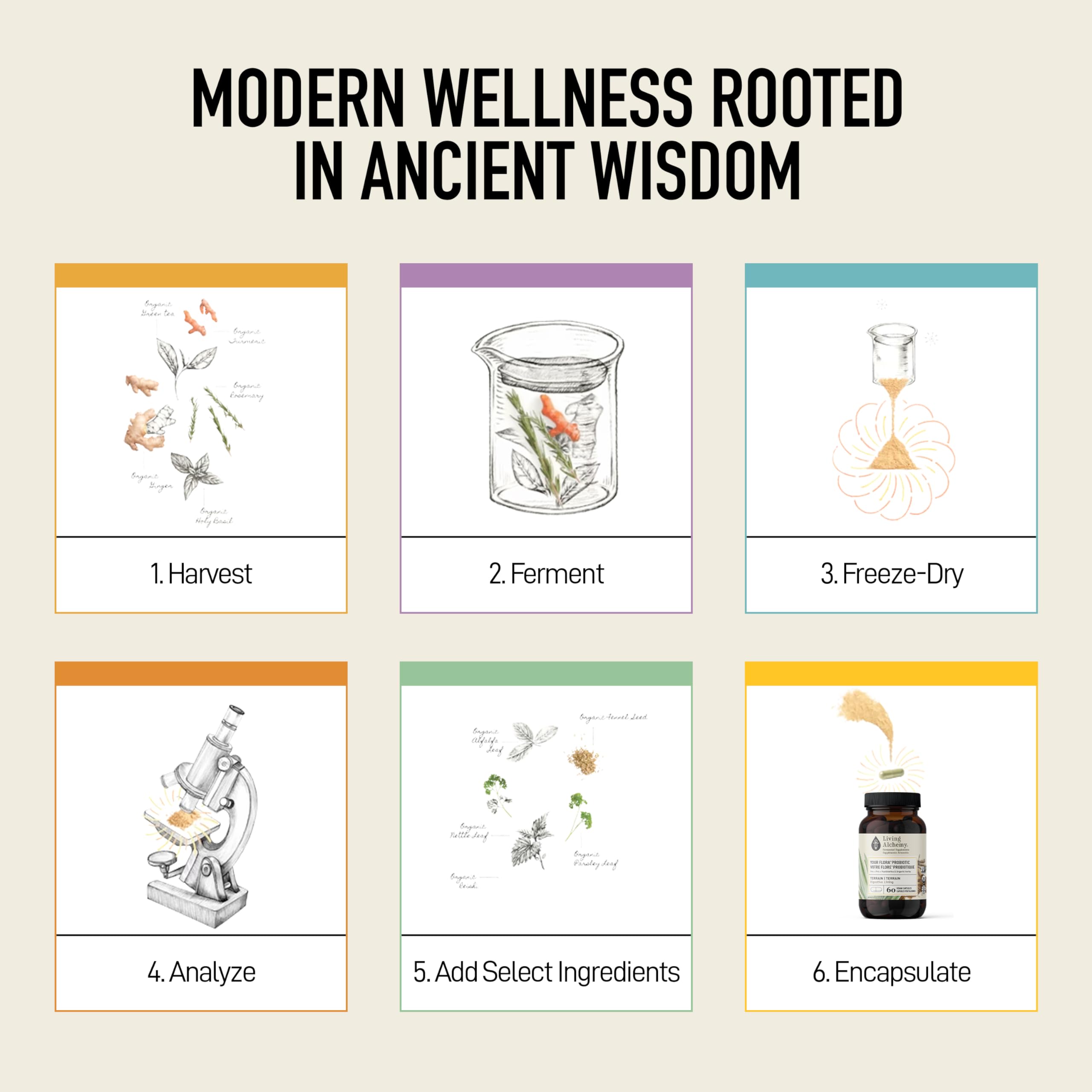 blended vitamin & mineral supplements for better absorption