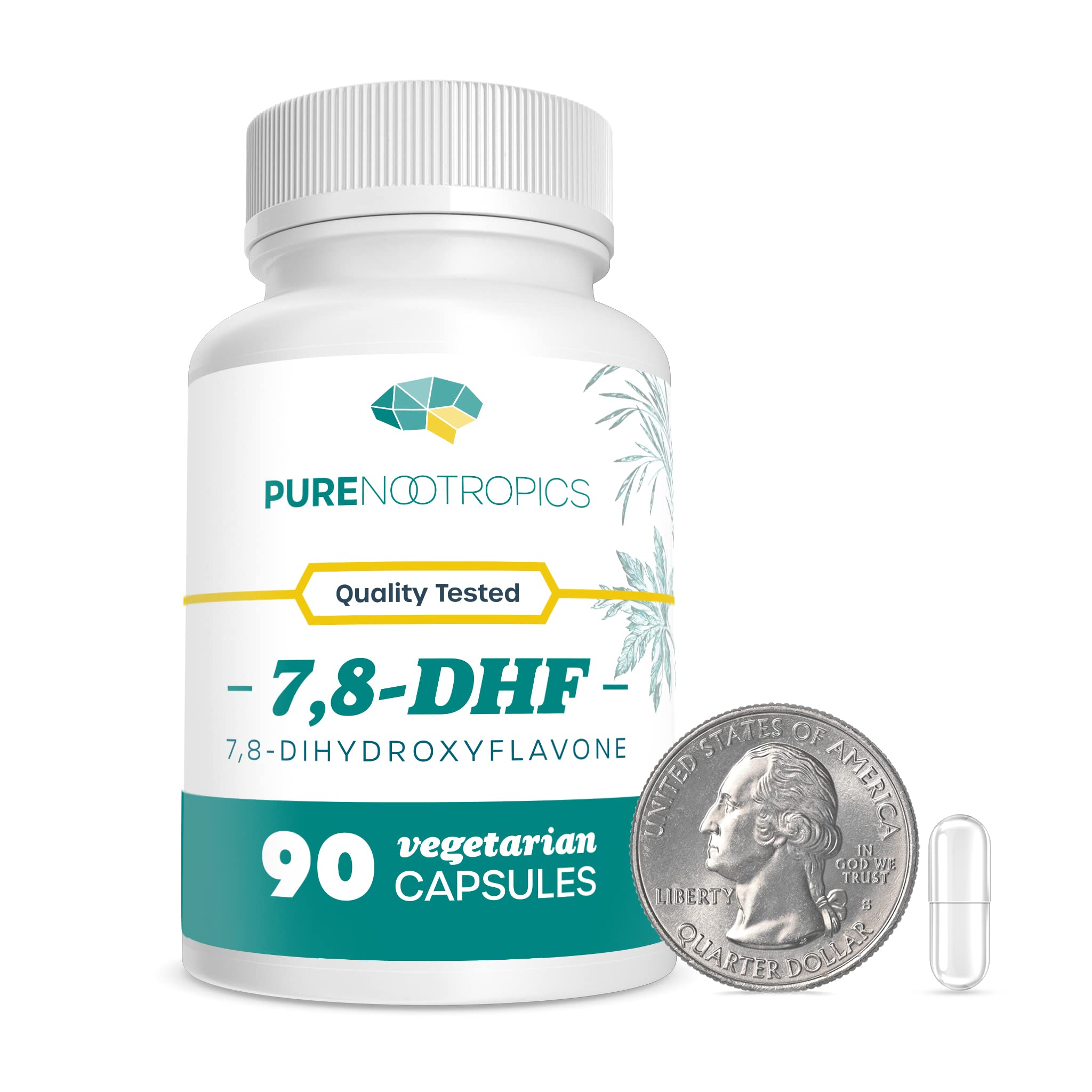 blended vitamin & mineral supplements for cognitive support