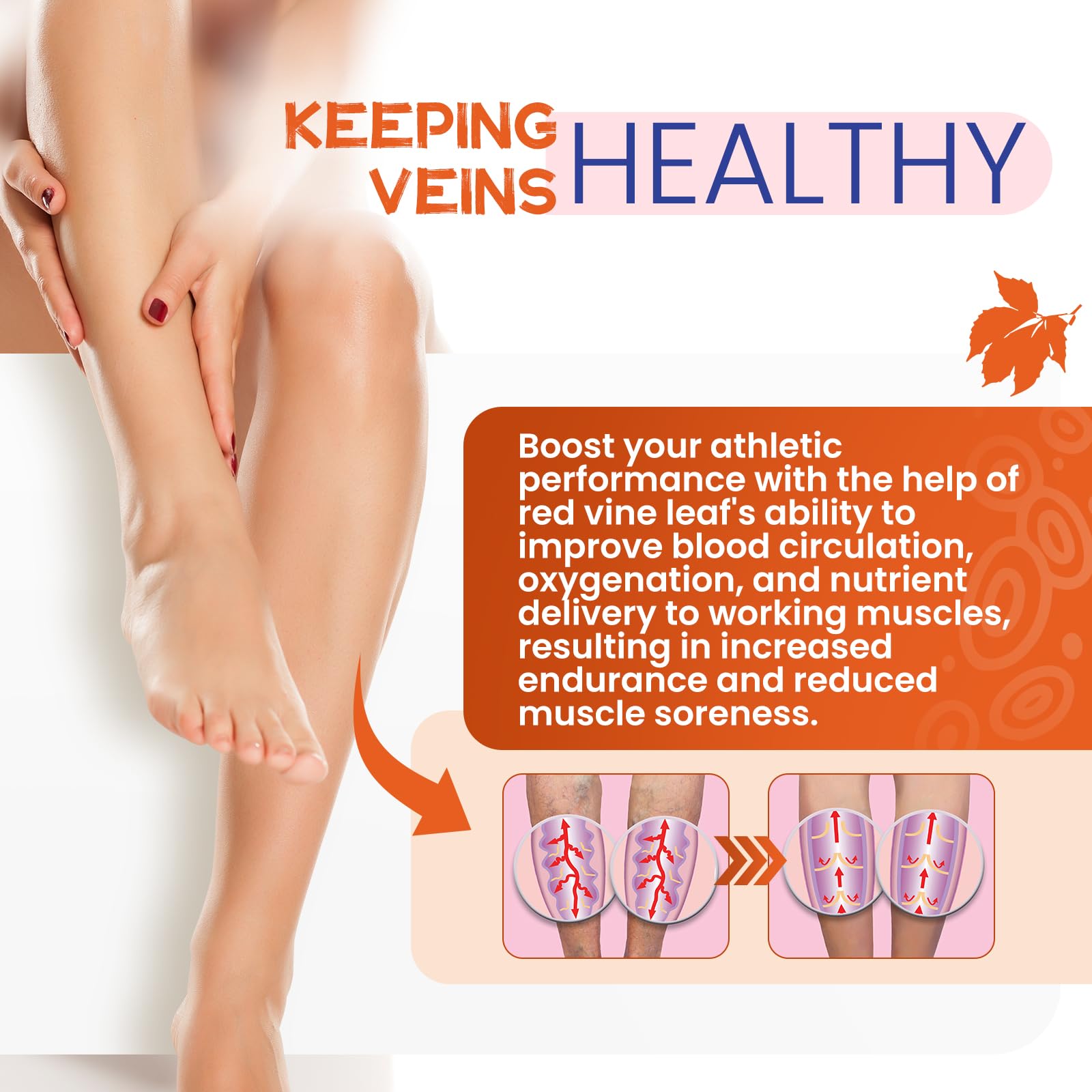 blended vitamin & mineral supplements for daily use