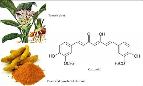 blended vitamin & mineral supplements for energy