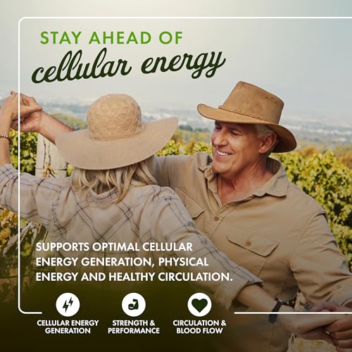 blended vitamin mineral supplements for energy