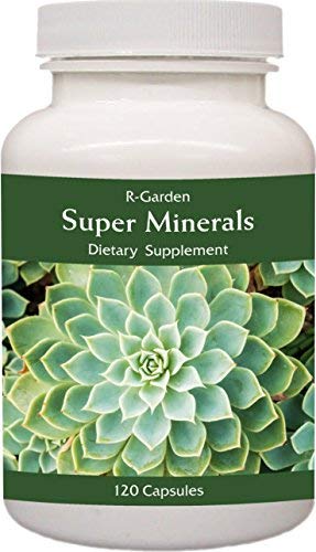 blended vitamin & mineral supplements for energy