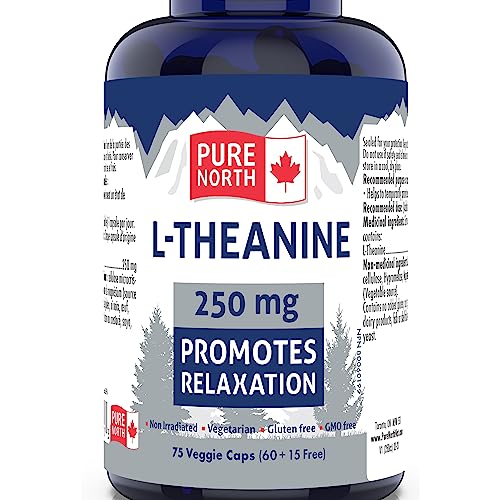blended vitamin & mineral supplements for focus