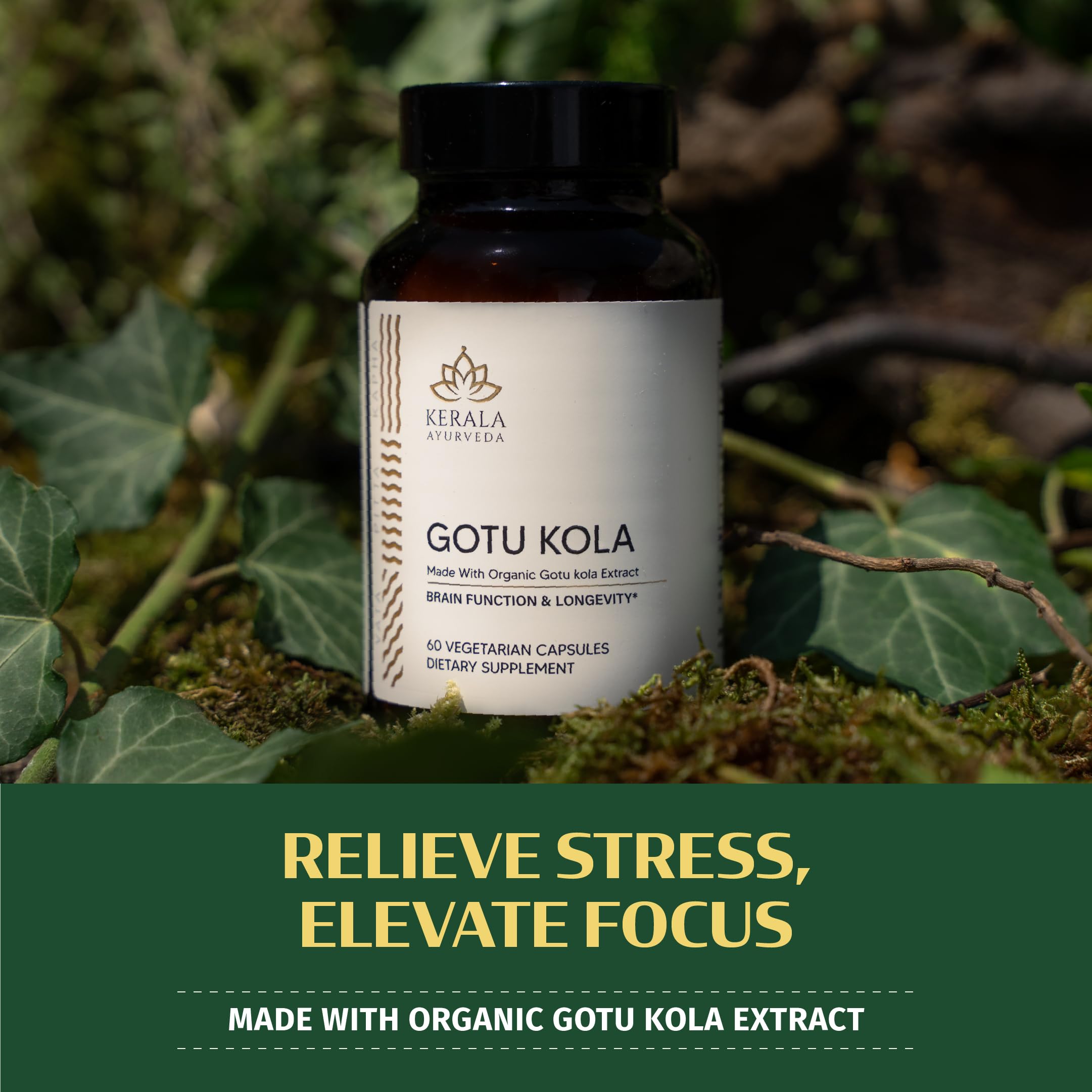 blended vitamin & mineral supplements for focus