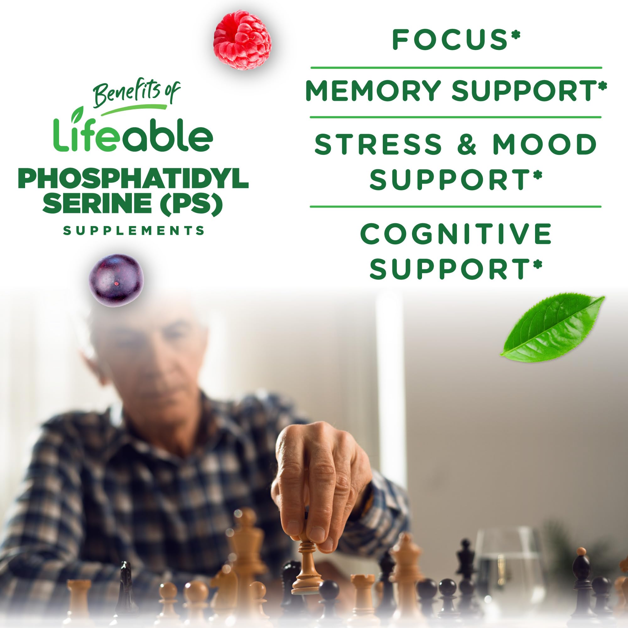 Blended vitamin & mineral supplements for focus