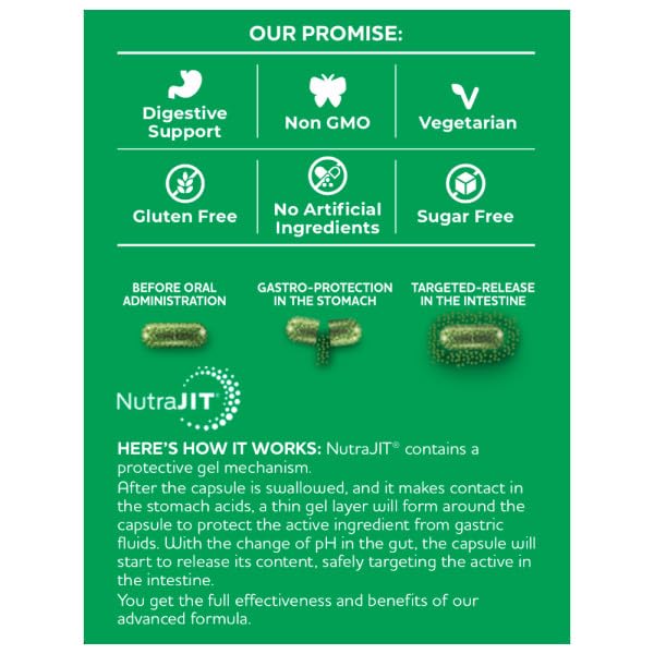 blended vitamin & mineral supplements for gut health