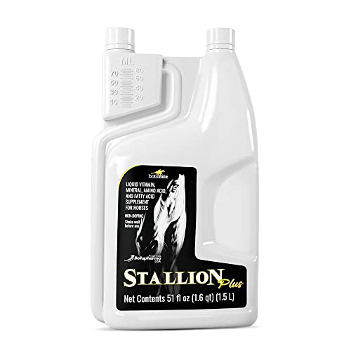 blended vitamin & mineral supplements for horses