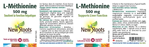 blended vitamin & mineral supplements for immune support