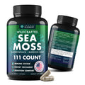 blended vitamin & mineral supplements for immunity