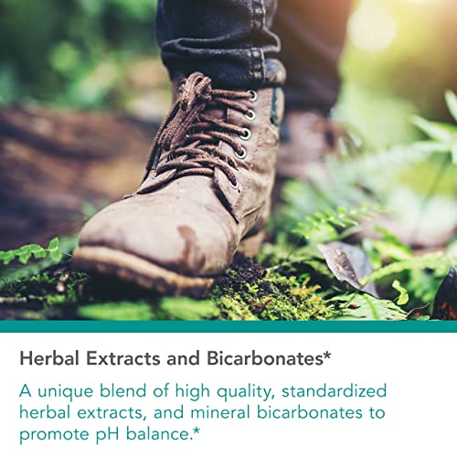 blended vitamin & mineral supplements for overall wellness