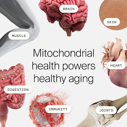 blended vitamin & mineral supplements for seniors