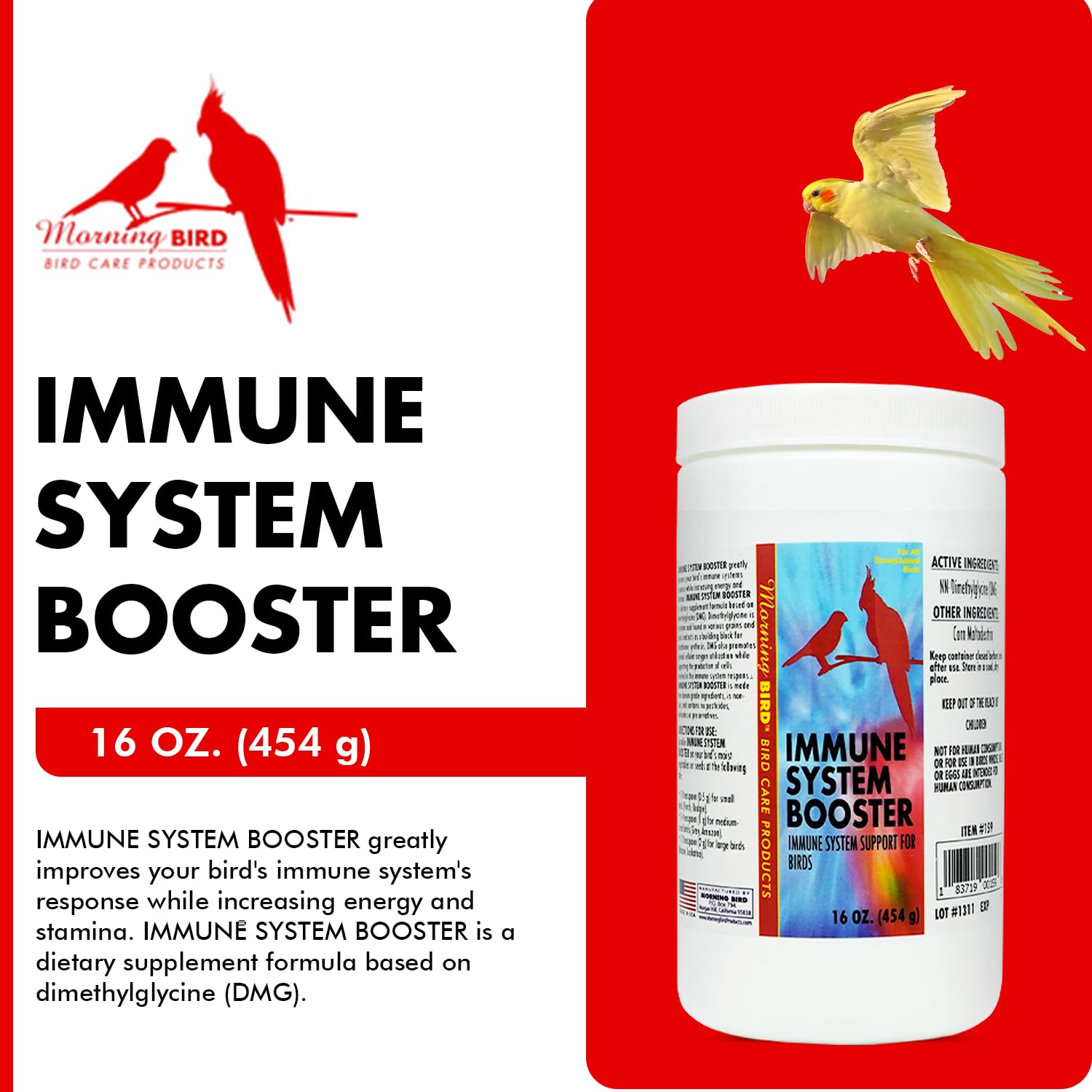 blended vitamin & mineral supplements for stamina