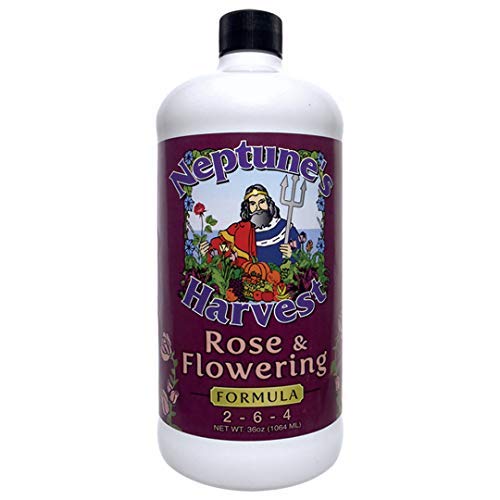 blended vitamin & mineral supplements for vibrant blooms