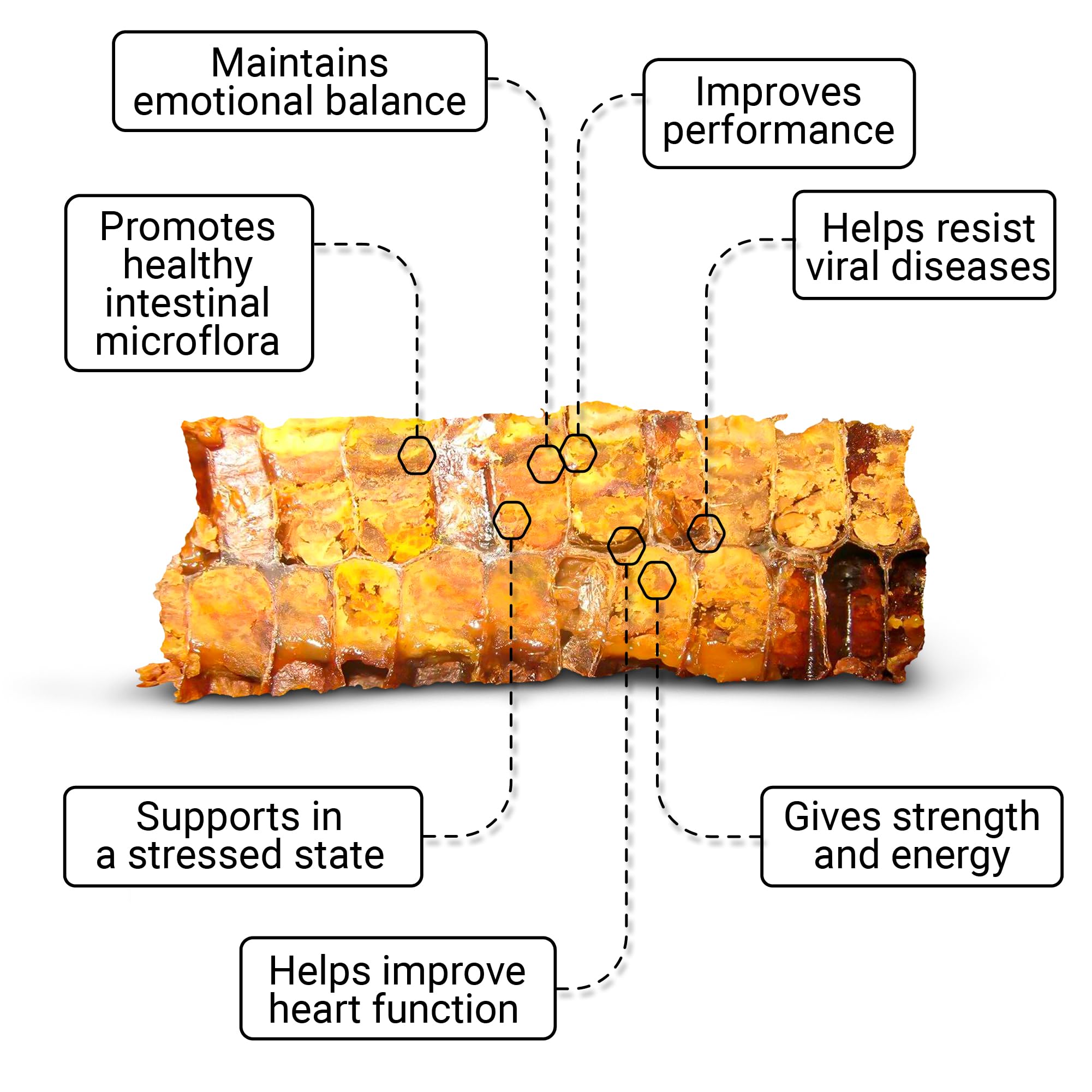 Blended vitamin & mineral supplements for women