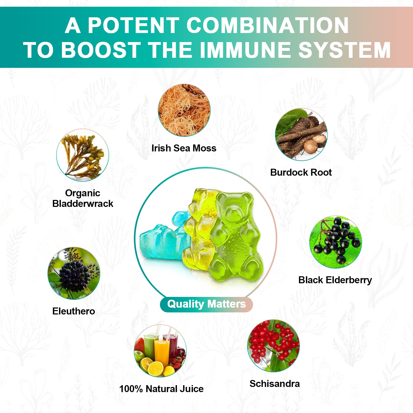 blended vitamin & mineral supplements