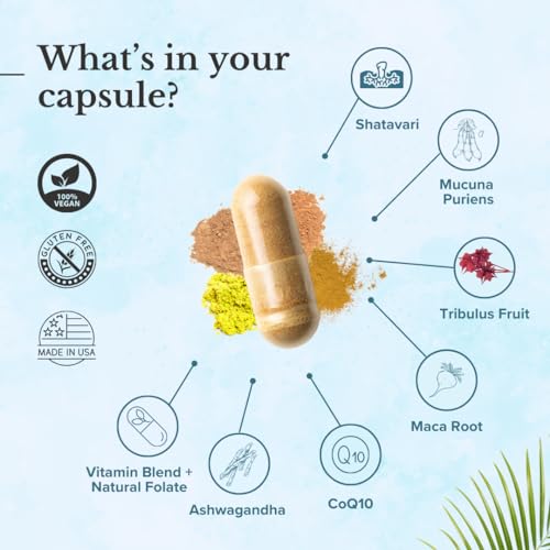 blended vitamin & mineral supplements