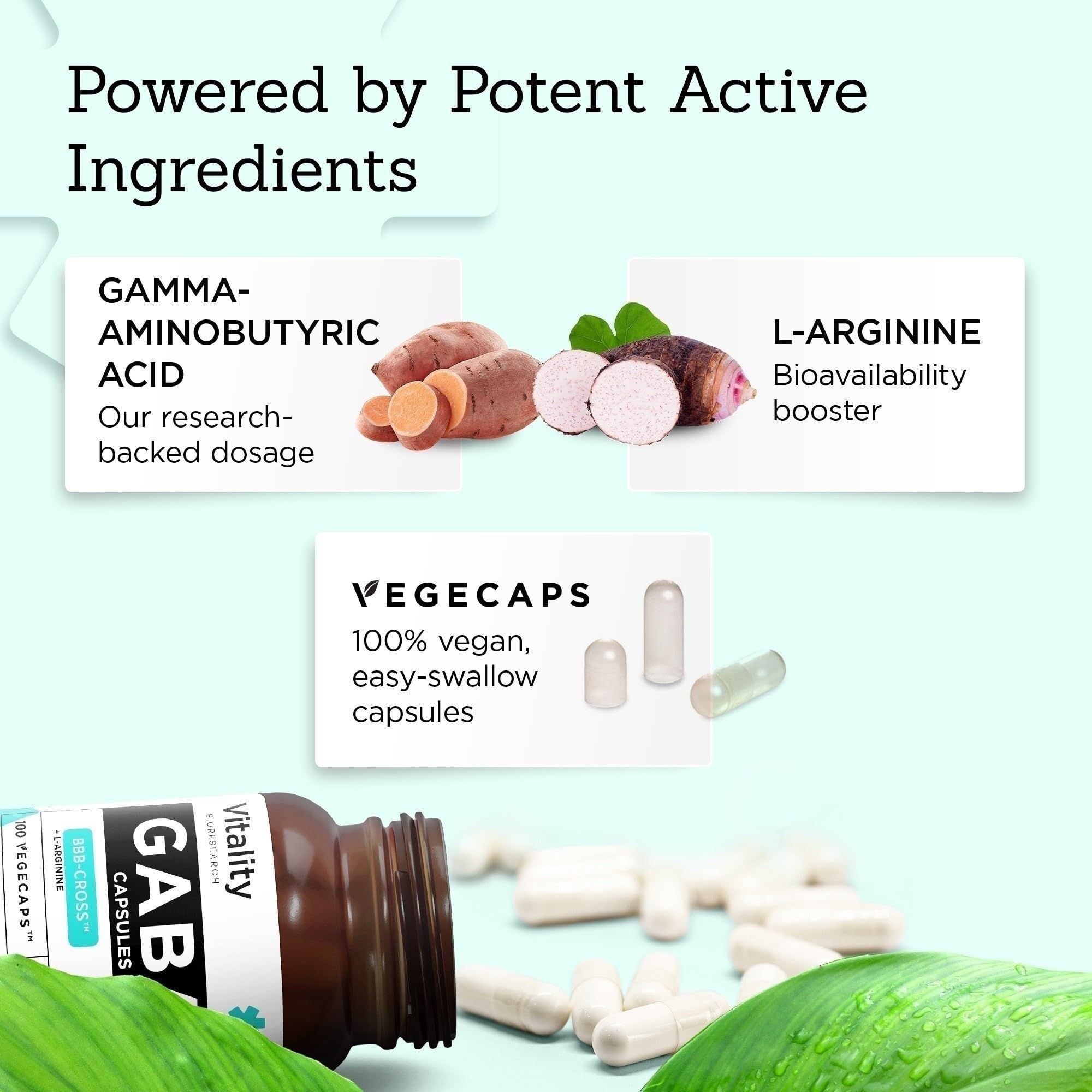 blended vitamin & mineral supplements