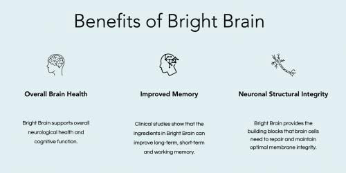 blended vitamin & mineral support for students