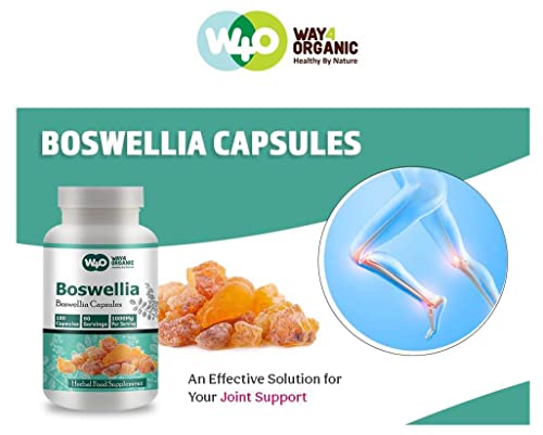 Blended vitamin supplements for active lifestyle