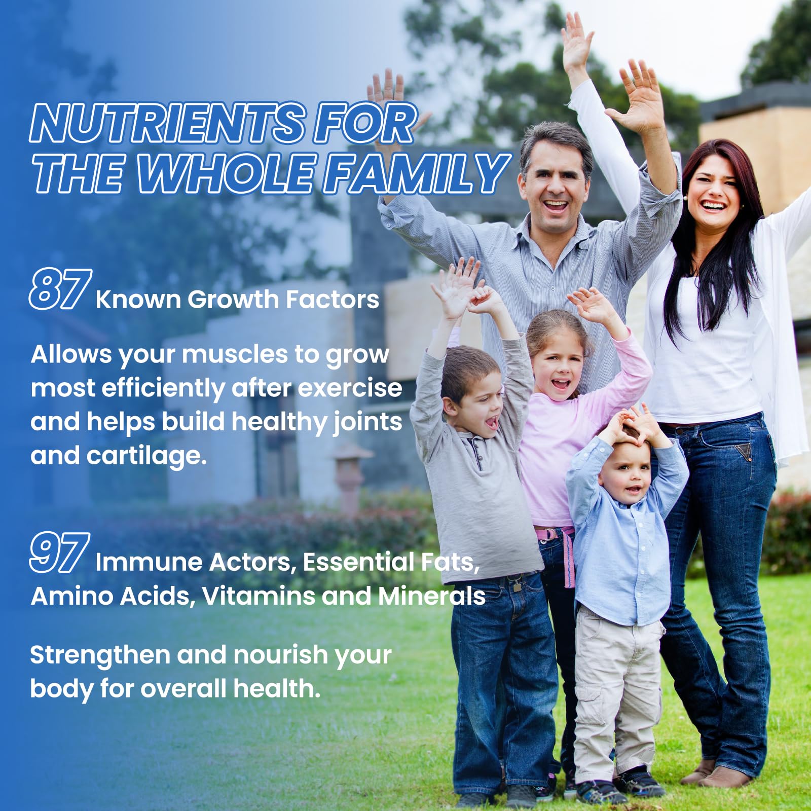 Blended vitamin supplements for active lifestyles