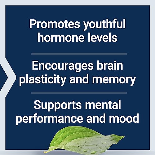 Blended vitamin supplements for brain health