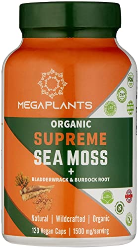 blended vitamin supplements for digestion