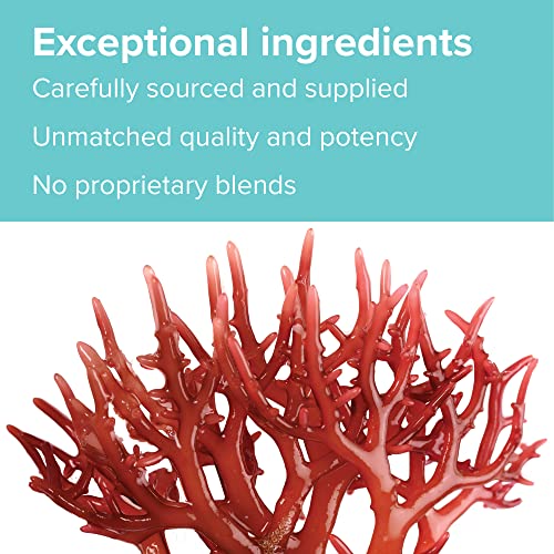 blended vitamin supplements for energy