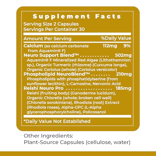 blended vitamin supplements for nervous system