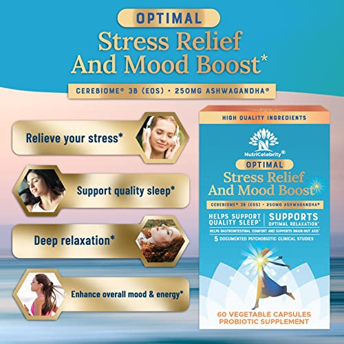 Blended vitamin supplements for stress