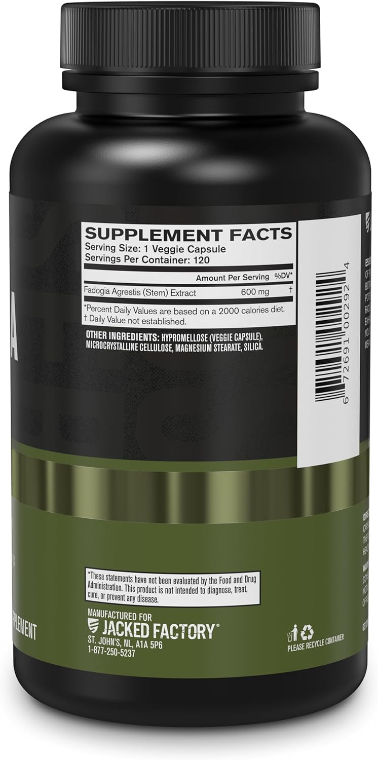 blended vitamins for active lifestyles