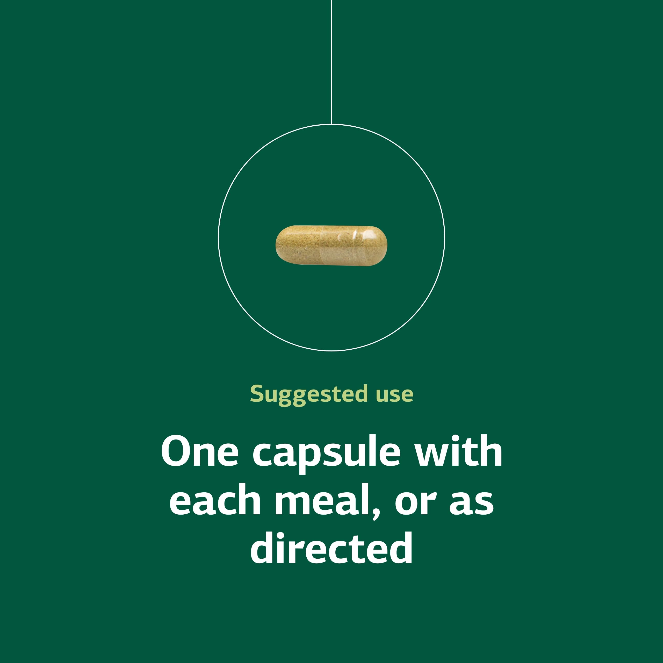 blended vitamins for connective tissue support
