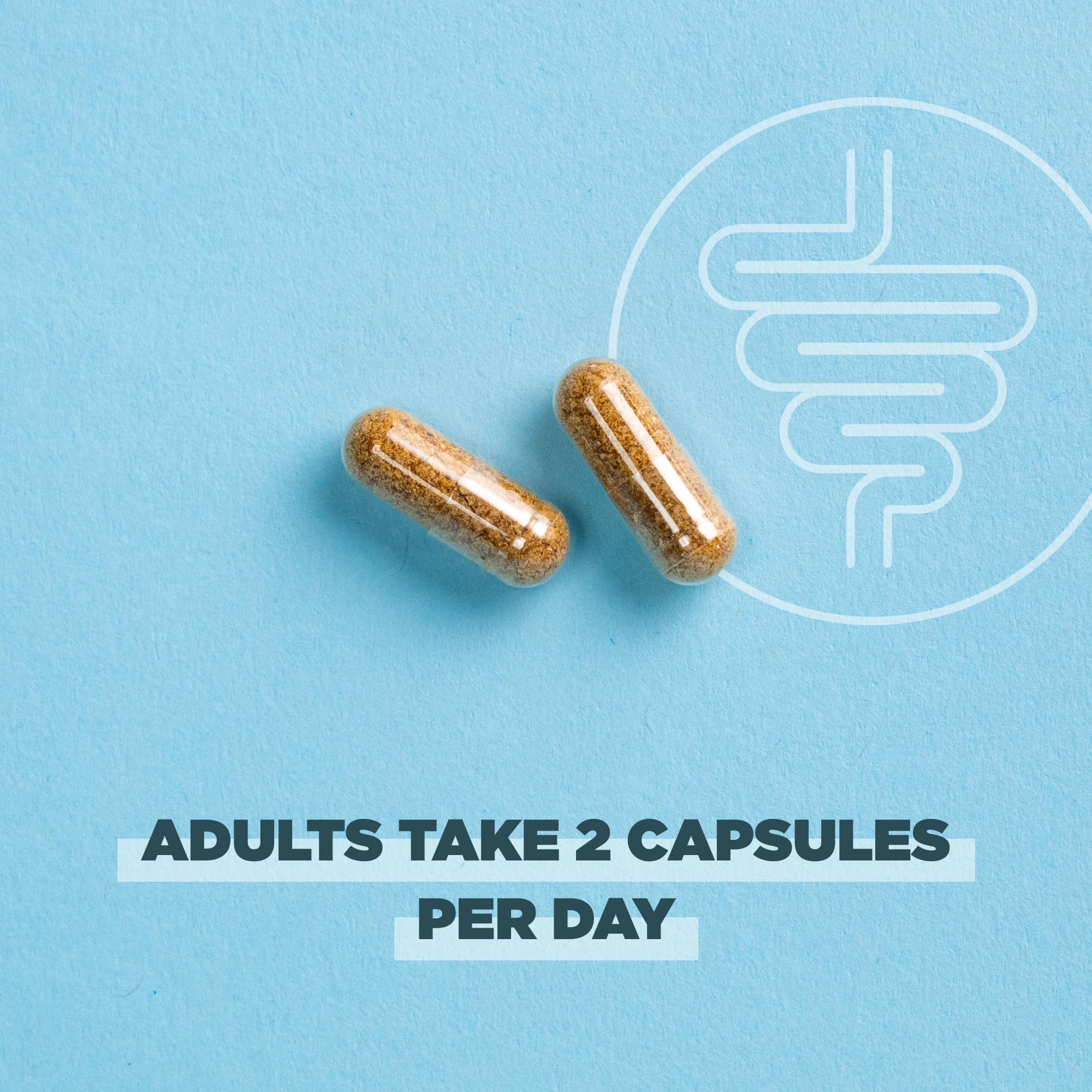 blended vitamins for digestive balance