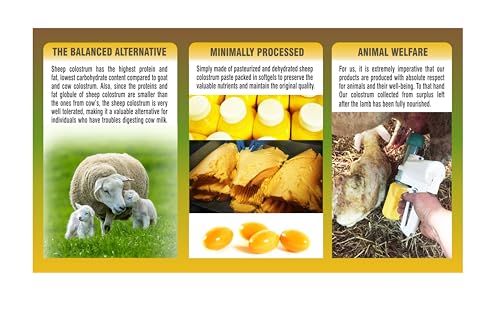 blended vitamins for everyday health